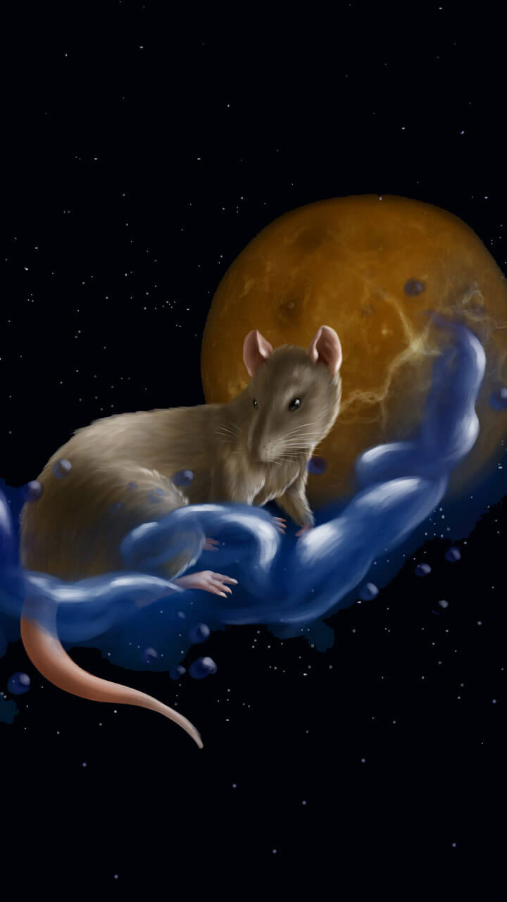 Happy APPS: Rat Live Wallpaper