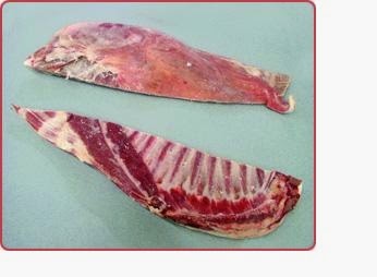 CARNICOS: CORTES CARNE OVINA Y CAPRINA