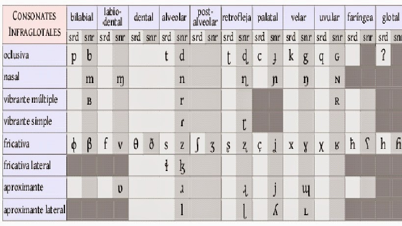 Conociendo la Fonética y la Fonología: Fonética y Fonología
