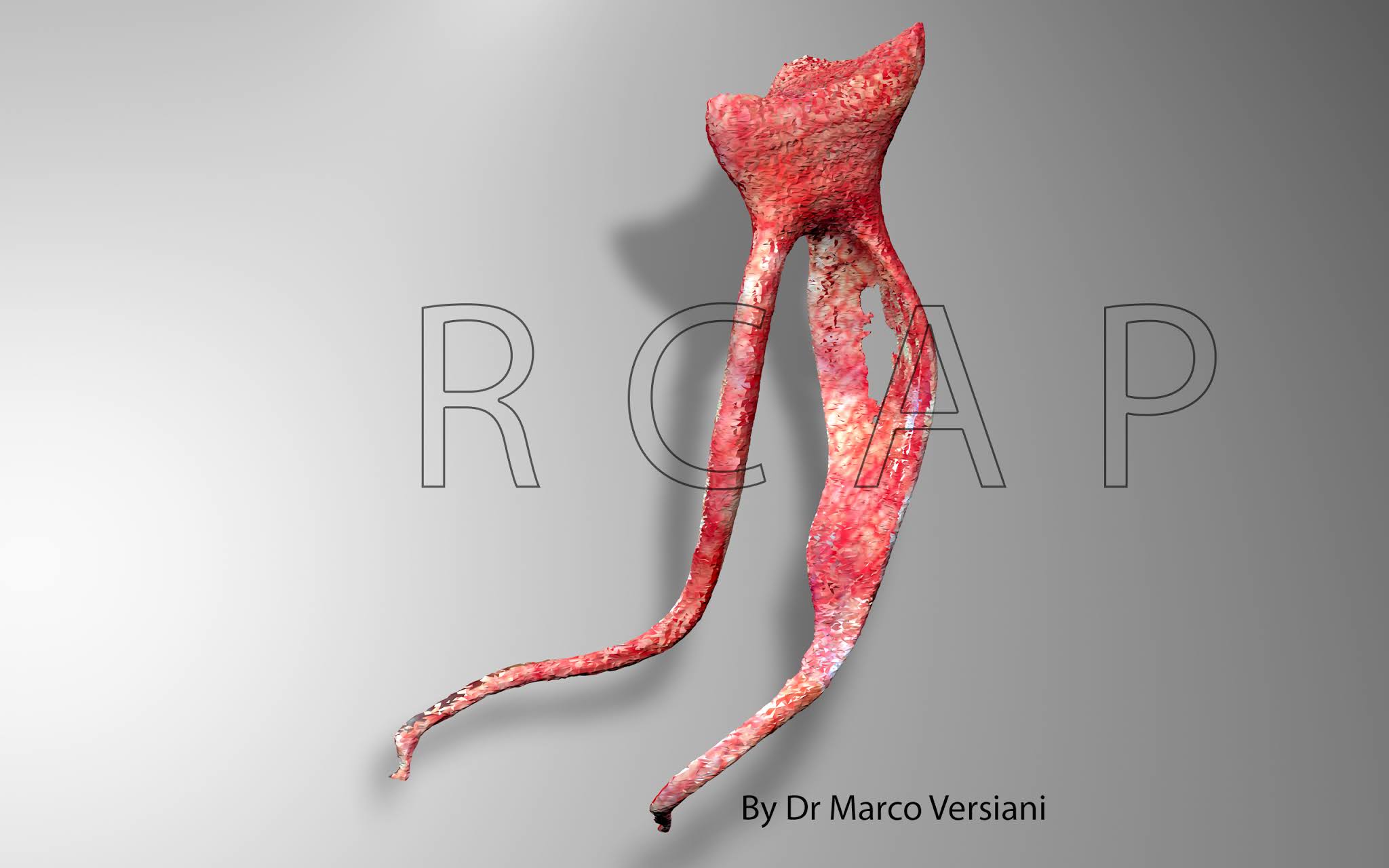 The Root Canal Anatomy Project: 2020