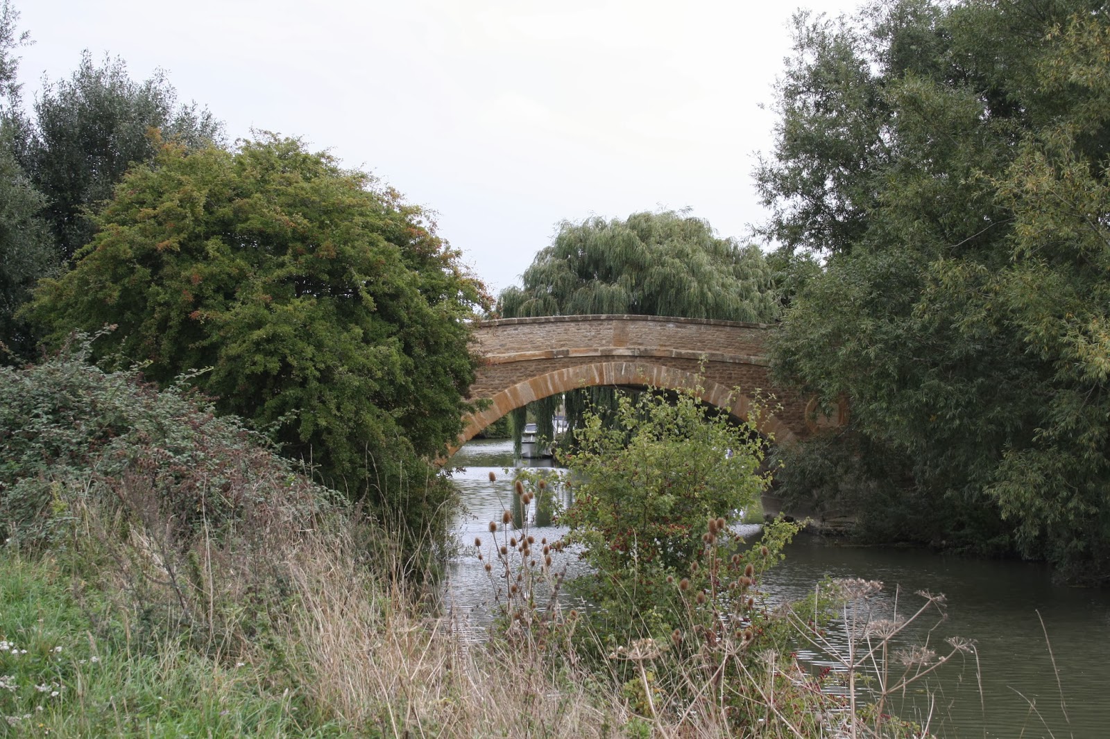 Tales From London: Part 7 at last I restart the Thames Path Walk