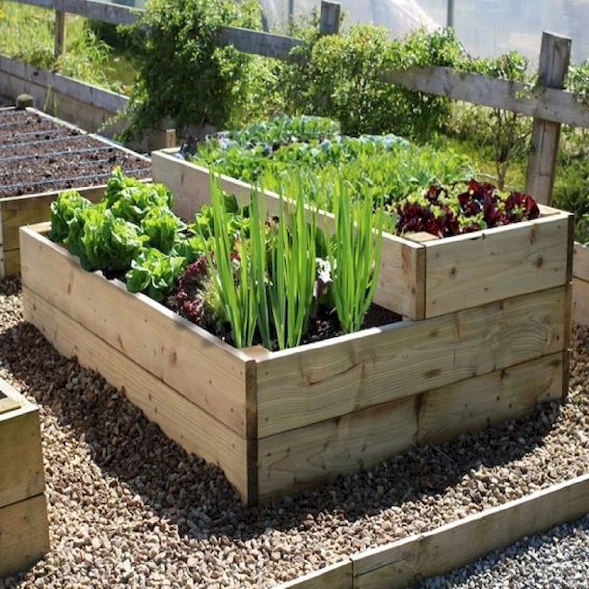 45 Simple Garden Boxes Design Ideas On A Budget | ARA HOME