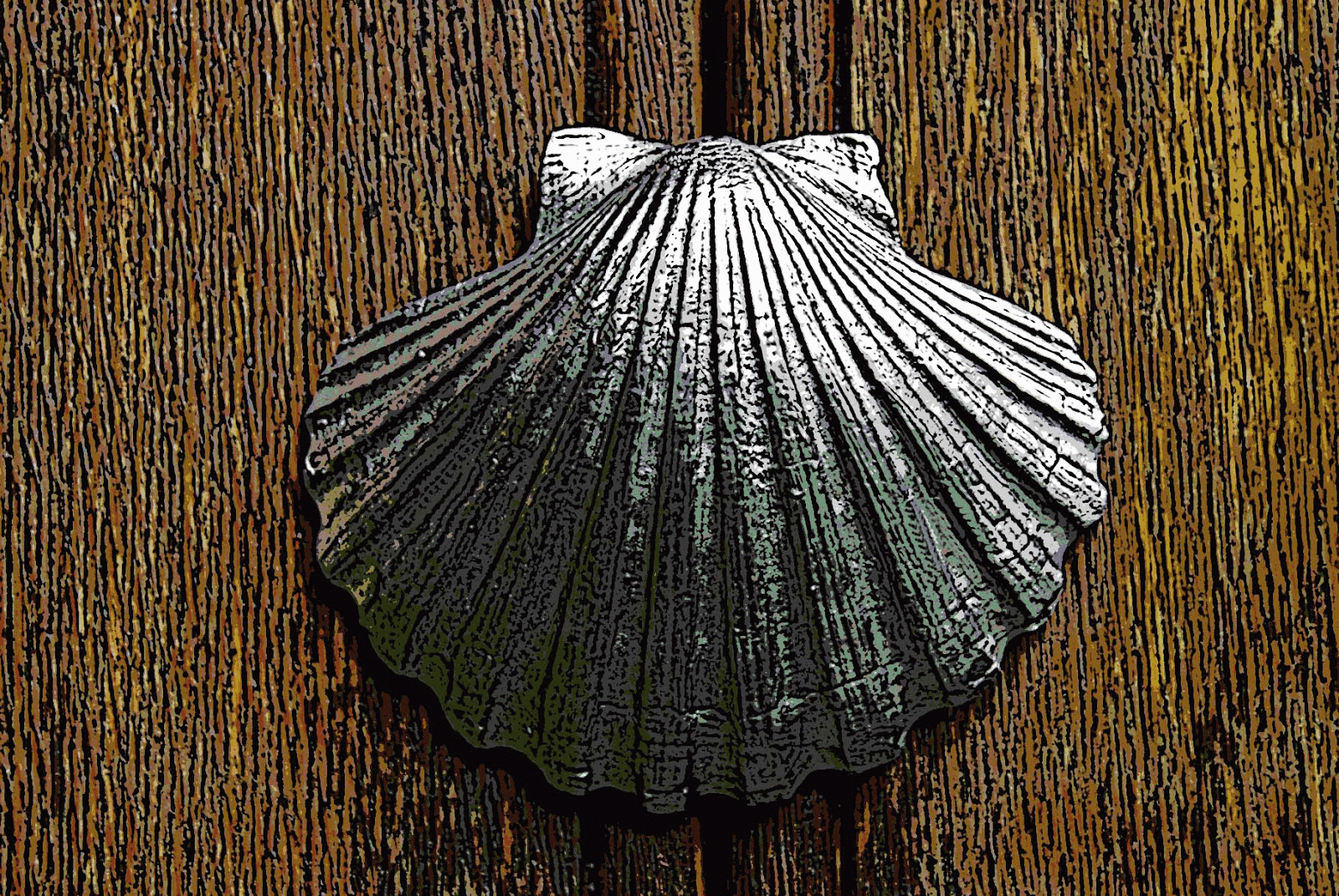 El Camino de Santiago más largo del mundo.: febrero 2011