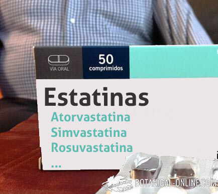 SALUD Y MEDICINA: Las Estatinas protegen tanto el Corazón como el Cerebro