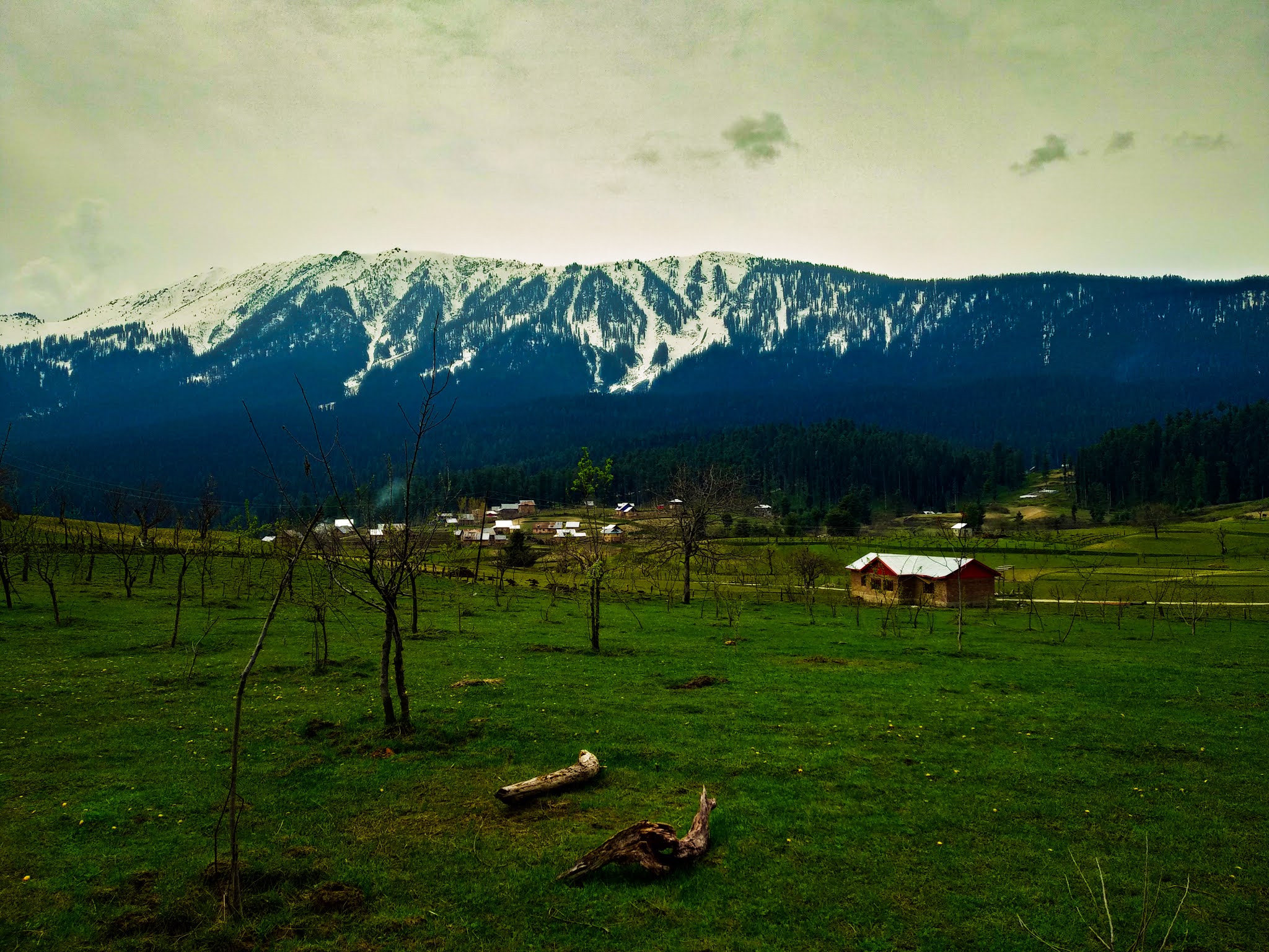 Some Beautiful Images of Tangmarg