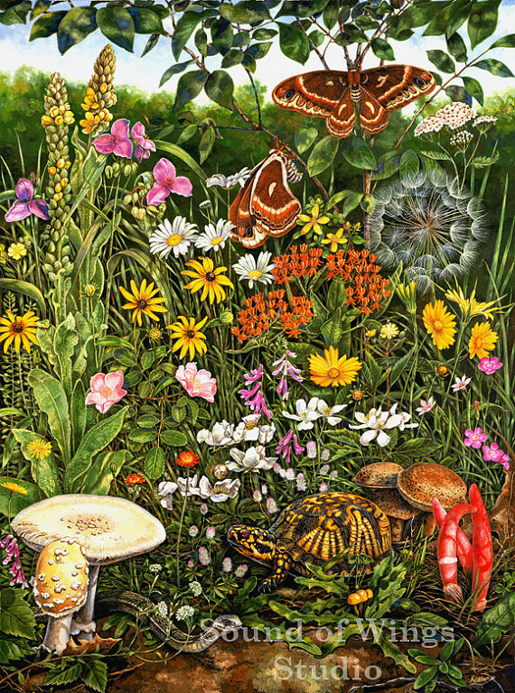 Artists' Journal Workshop: Guess Who is Interview #16?? It's Sandy ...