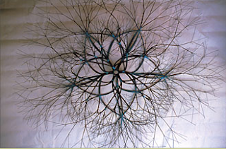 design context: tied wire sculptures - geometric wire patterns