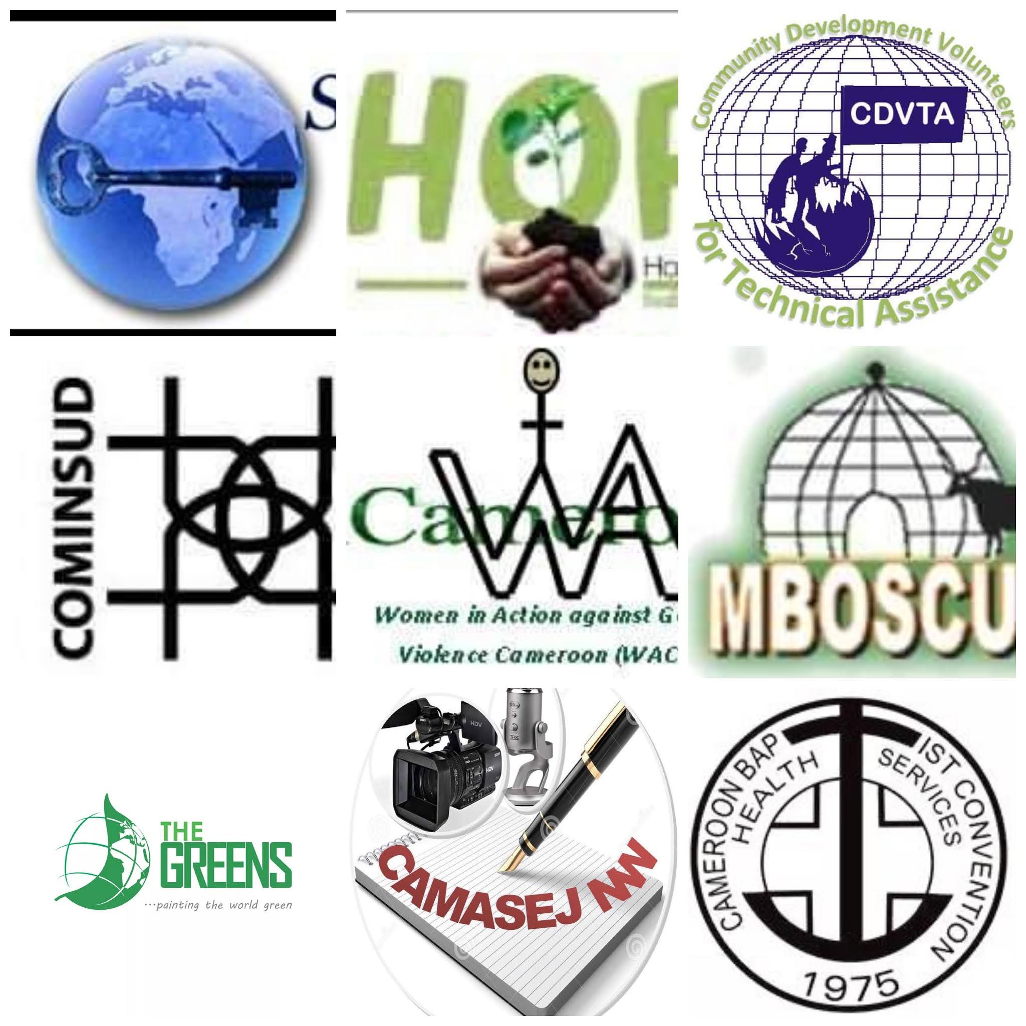 Humanitarian Services: NGOs with unmatched actions in the North West Region