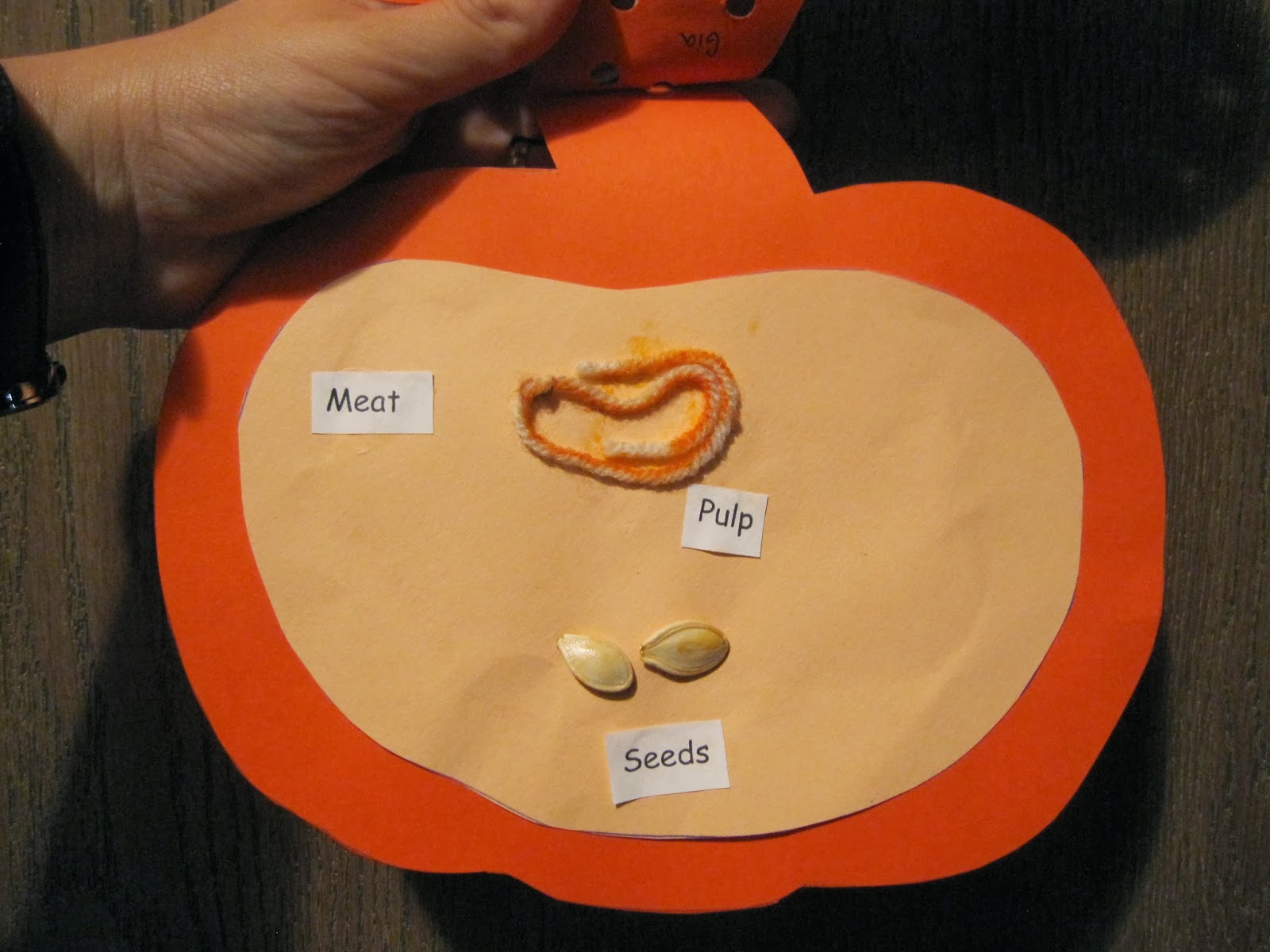 Preschool For Rookies: What inside a pumpkin?
