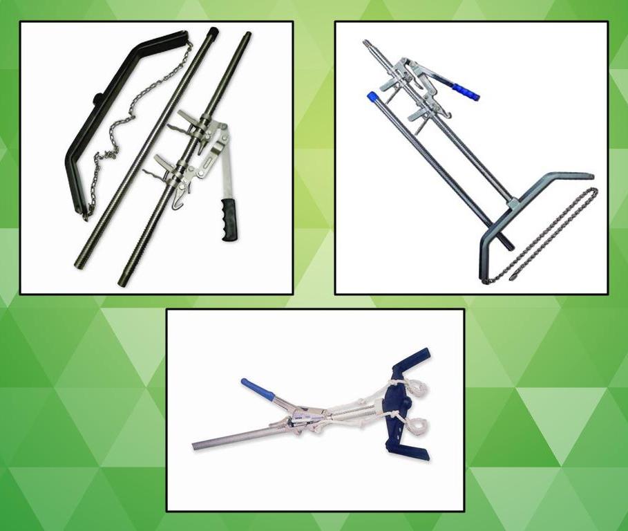 Generalidades de la Ganadería Bovina.: Cuidado de la vaca al parir