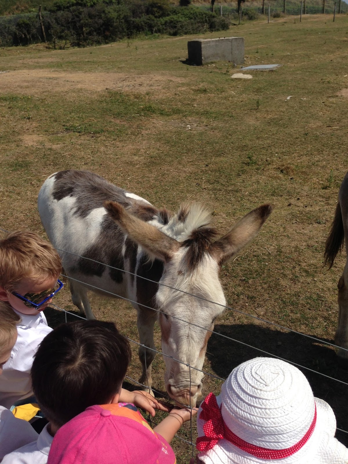 Year 1 Class Blog: IPACA