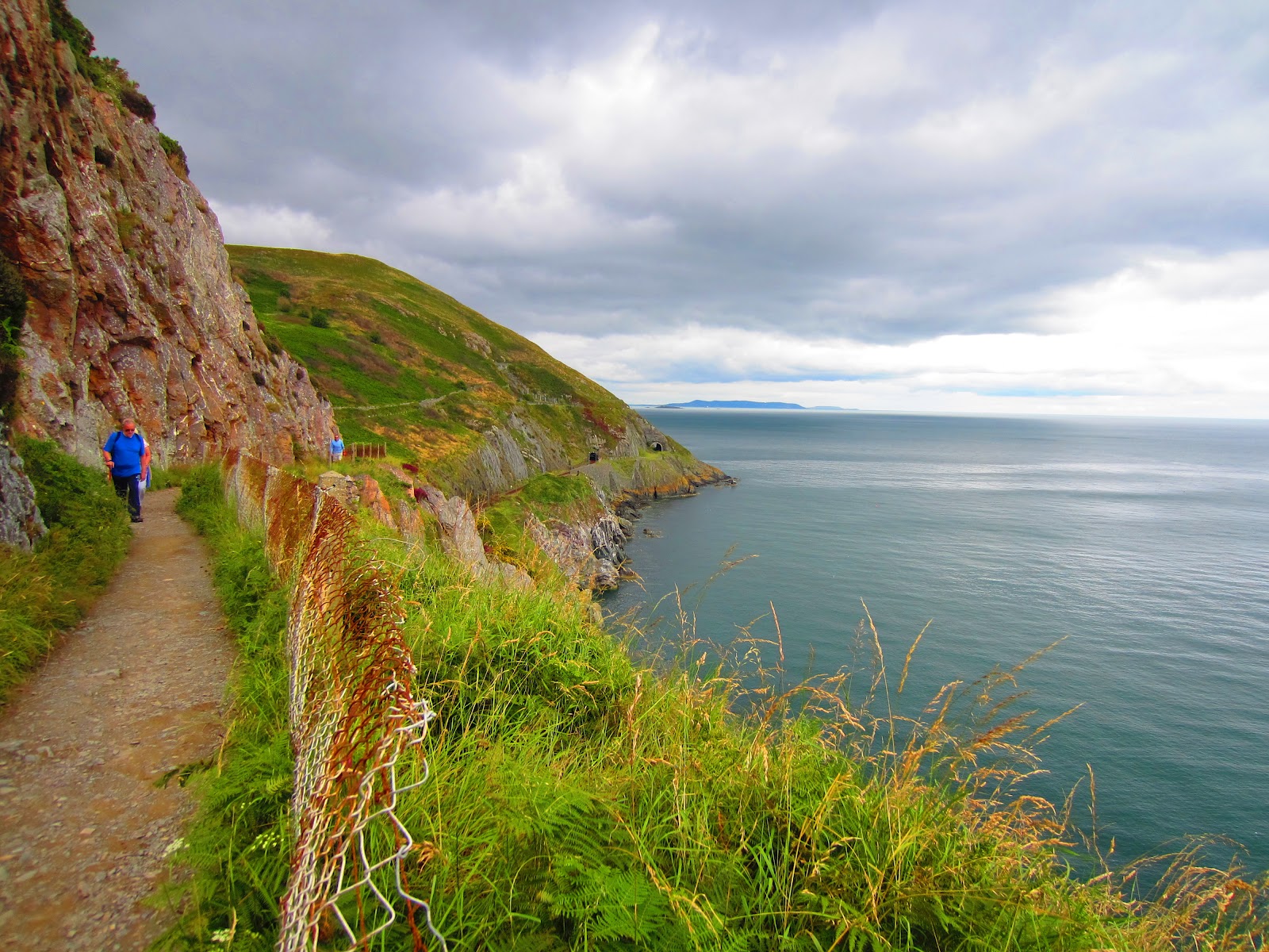 Drimnagh Birdwatch: Greystones to Bray Coastal Walk