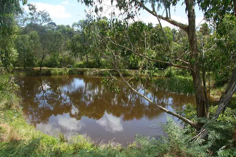 TRACKS, TRAILS AND COASTS NEAR MELBOURNE : Arthur Upton Bushland ...