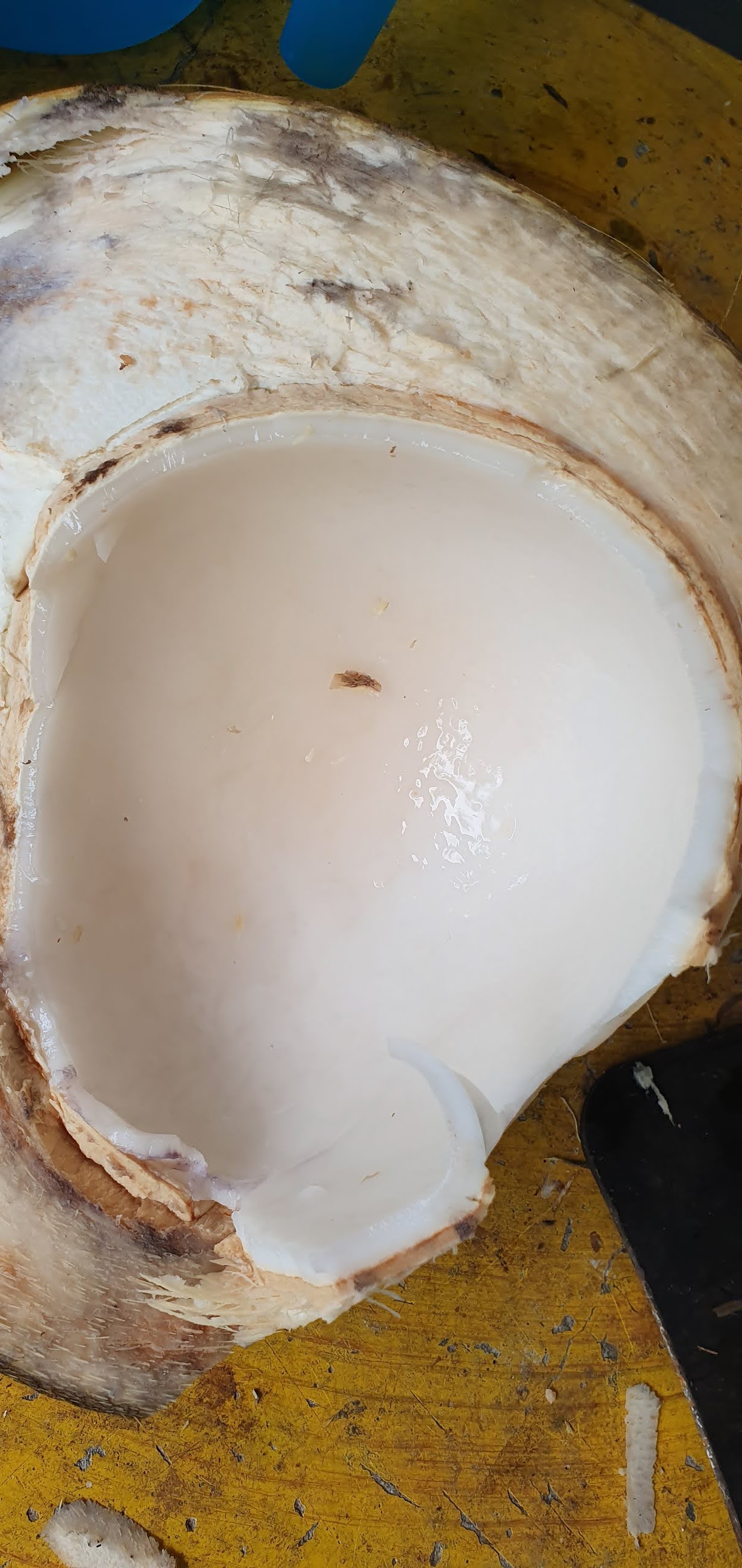 Warisan Petani: The Gun In The Jug