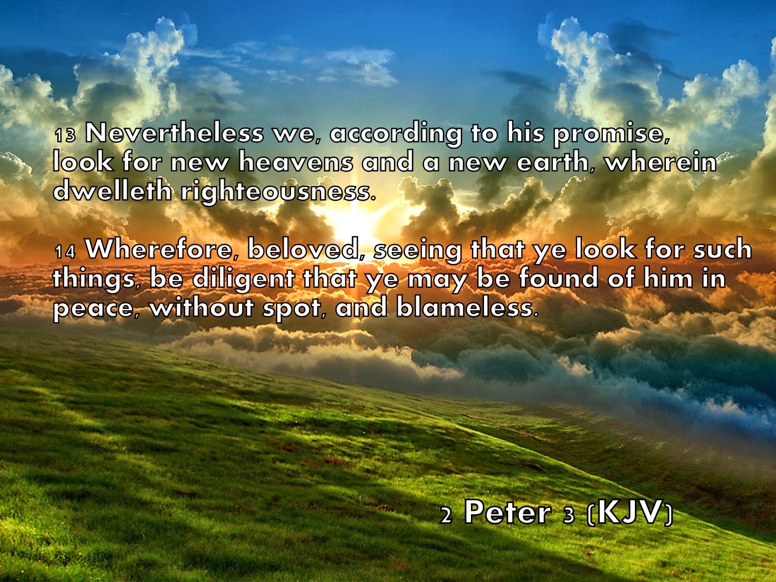 Red Pill Diaries 2 Peter 3 KJV red-pill-diaries-2-peter-3-kjv