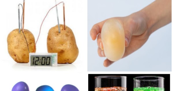 Kids Science Experiments