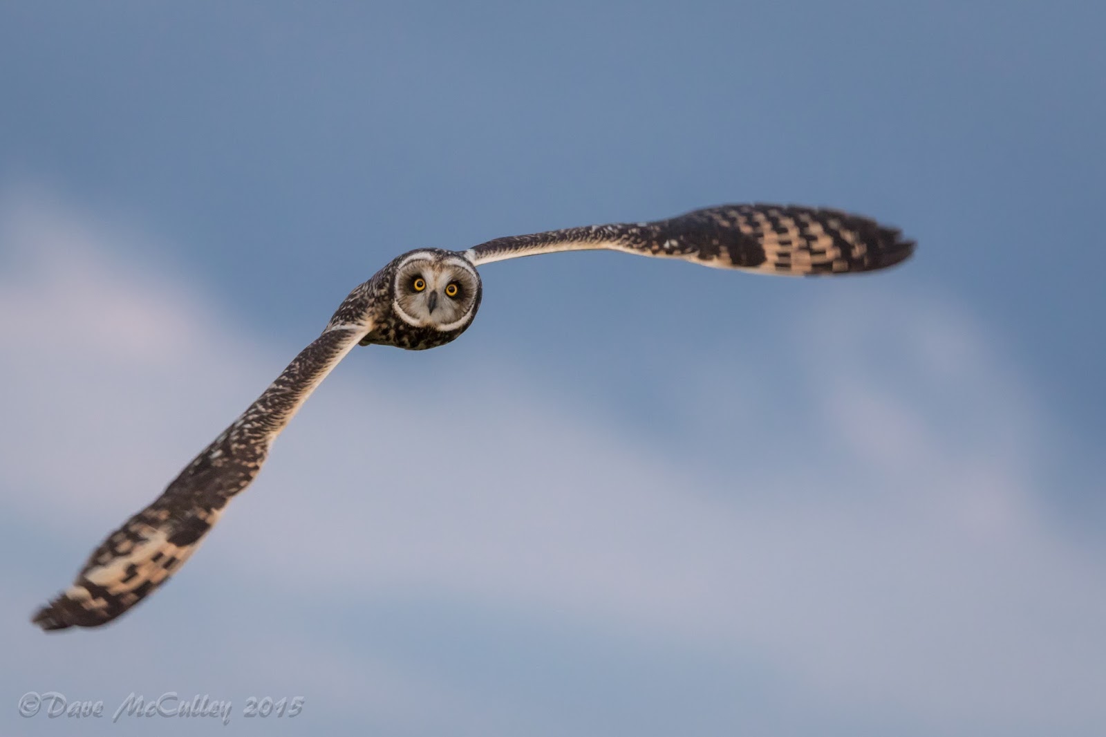 Dave McCulley Photography : Lunt Meadows.