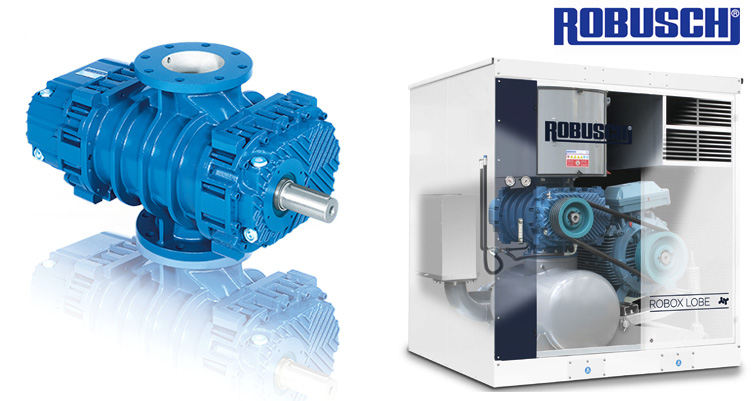 Máy Thổi khí Robuschi model RBS
