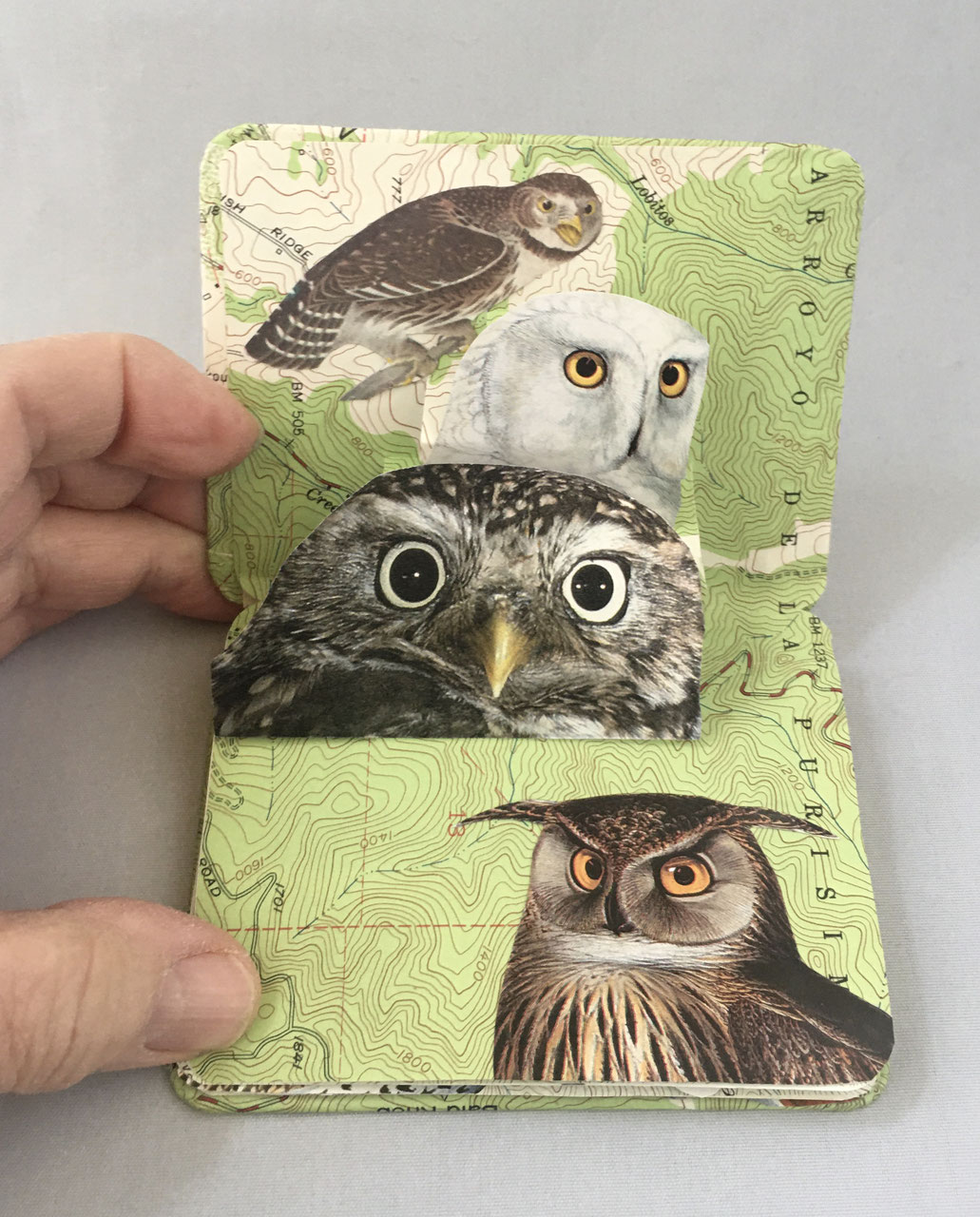 Kit Davey Paper Artist