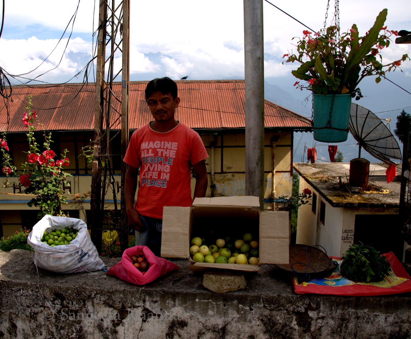 Vegetables of Sikkim | Rukh Tamatar or the Tree tomato and a very ...
