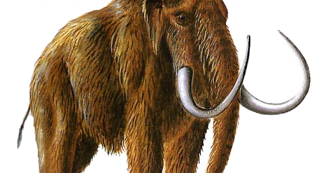 Weighty Matters: Saturday Stories: History, Mammoths, and the Most ...