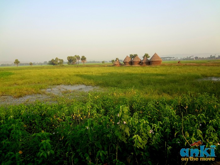 Bodhgaya:Rural Bihar,Photos,Videos | Anki On The Move