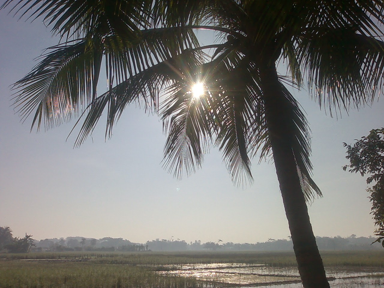 Natural View of Bangladesh