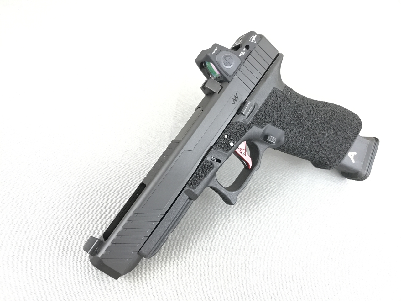 P10C RMR cowitness stock sights