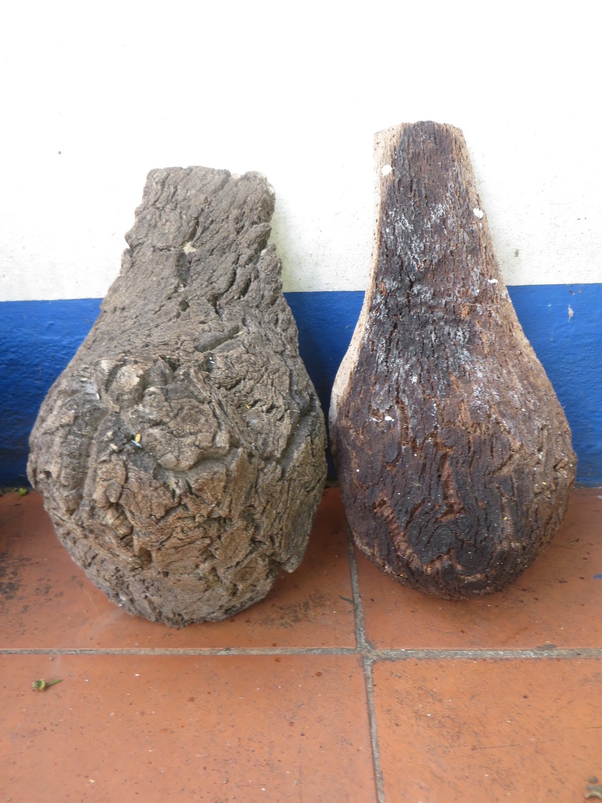 O melhor Alentejo do Mundo: Cocho ou Cocharro