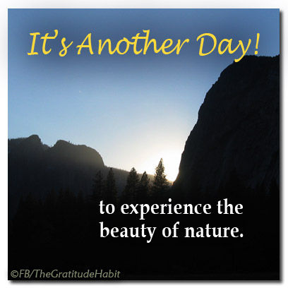 The Gratitude Habit Journal: Grateful for Nature's Beauty