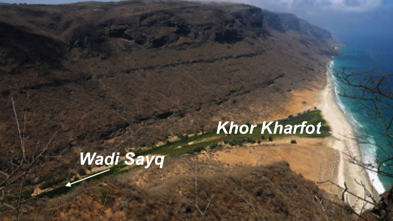 NephiCode: Khor Rori”s Wadi Darbat—the Valley of Large Trees – Part II