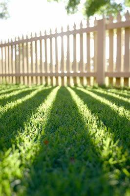 Field Notes: Planning for a Beautiful Lawn: Prepping and Mowing