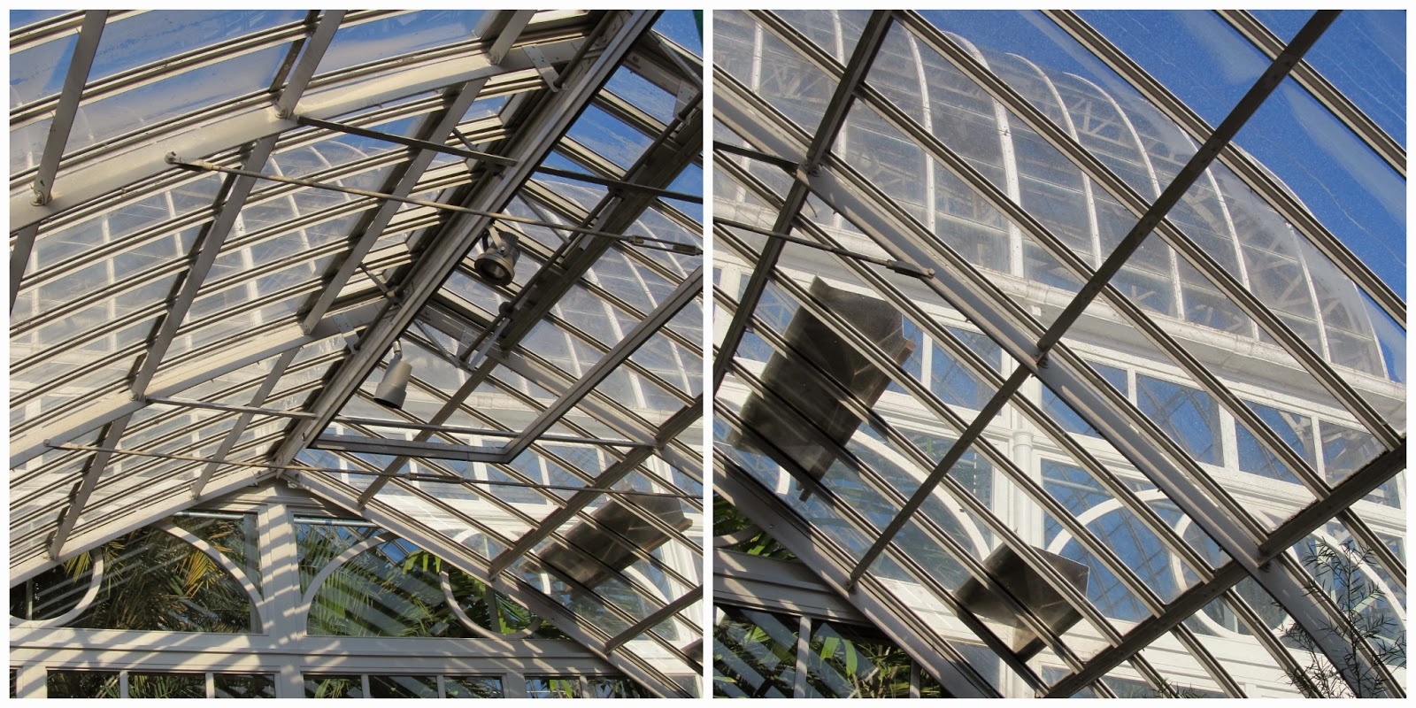 Rock-Oak-Deer: Visting the Phipps Conservatory Part 4