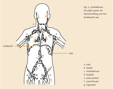 Unstoppable: Het is maar hoe je het ziet!!