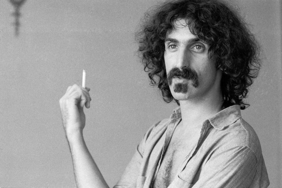 THE GRANDMA'S LOGBOOK ---: FRANK ZAPPA, THE MULTI-INSTRUMENTALIST MUSICIAN