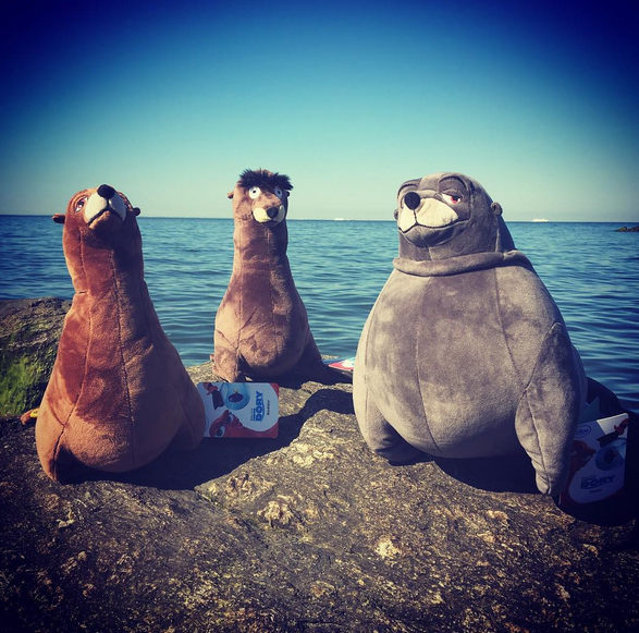 Dan the Pixar Fan: Finding Dory: Disney Store Sea Lion Plush- Rudder ...