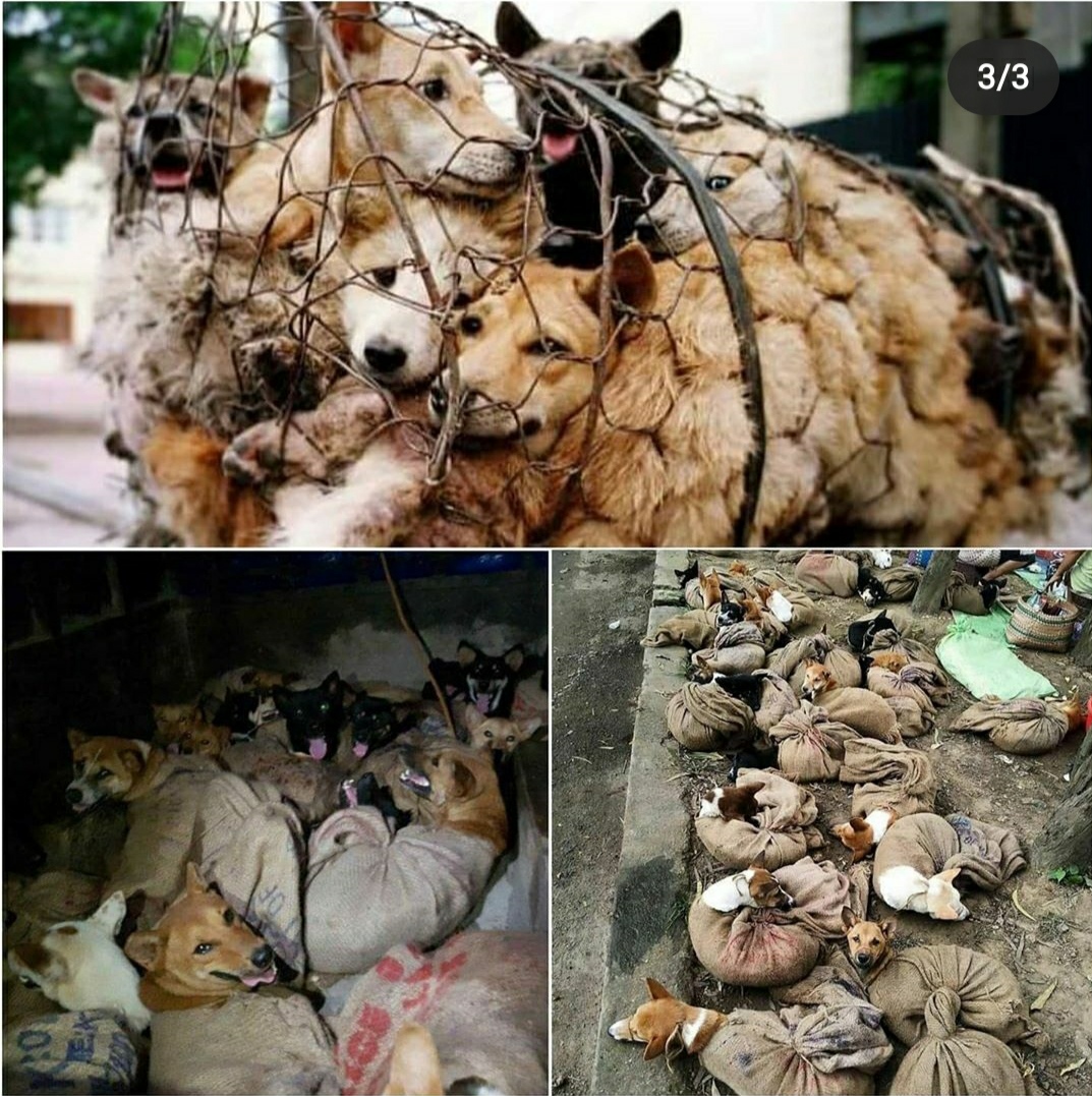 Welcome to my blog. I've just started writing compelled by the social ...