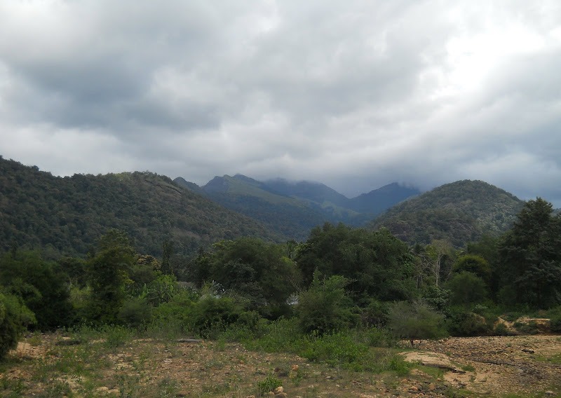 Tamilnadu Tourism: Kalikesam Forest & Waterfalls, Kanyakumari