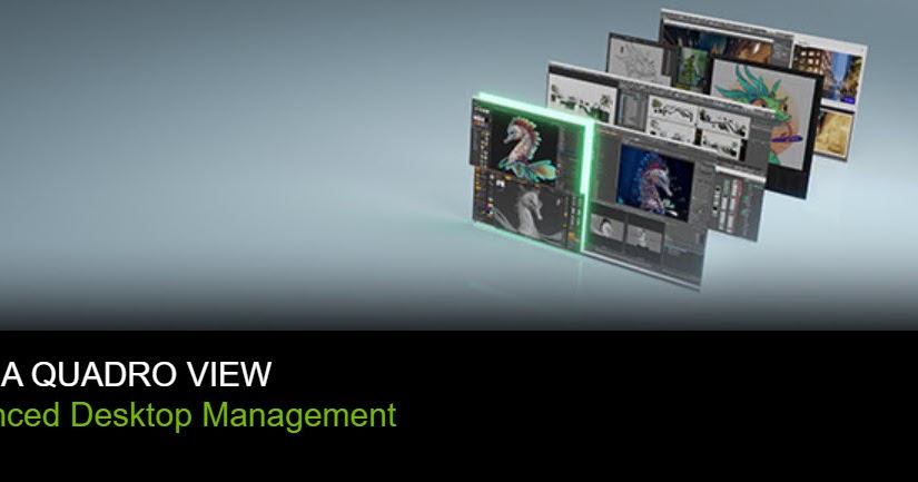 BIM Chapters: NVIDIA Quadro View