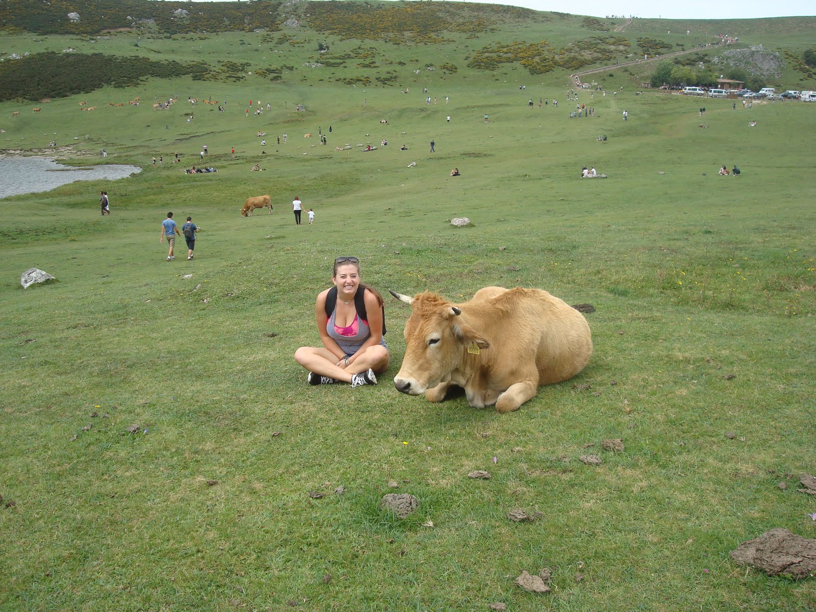 Mi Loca y Hermosa Vida: Caca de Vaca