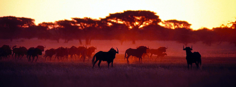 Beautiful South Africa: Willem Pretorius Game Reserve, Free State
