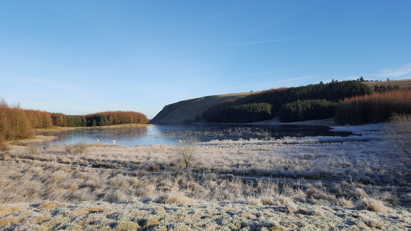 Neil's Hillwalking Exploits: A new year- Neilston Pad