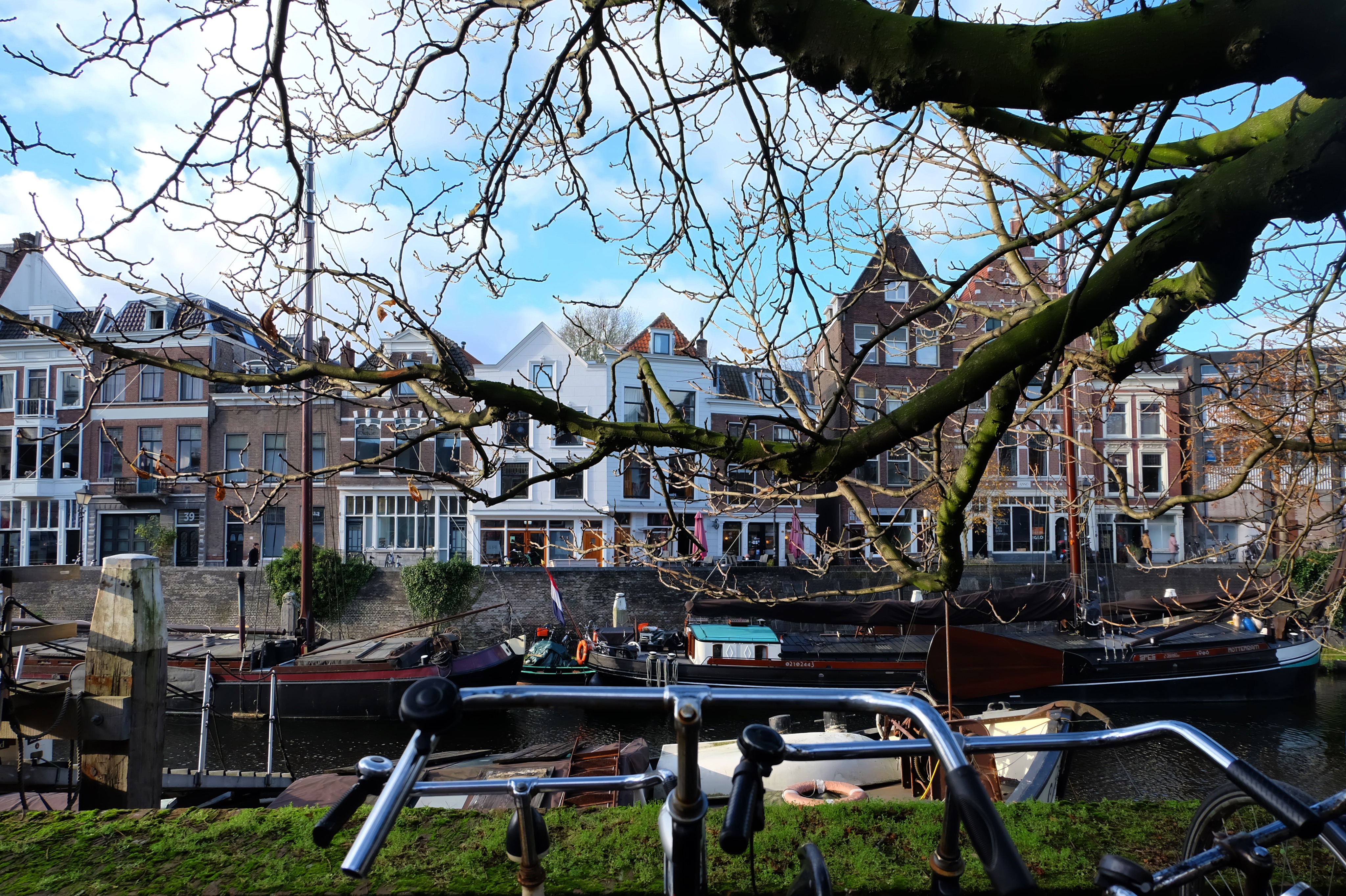 3 Months Living in Rotterdam (2017): Urban Management and Development ...