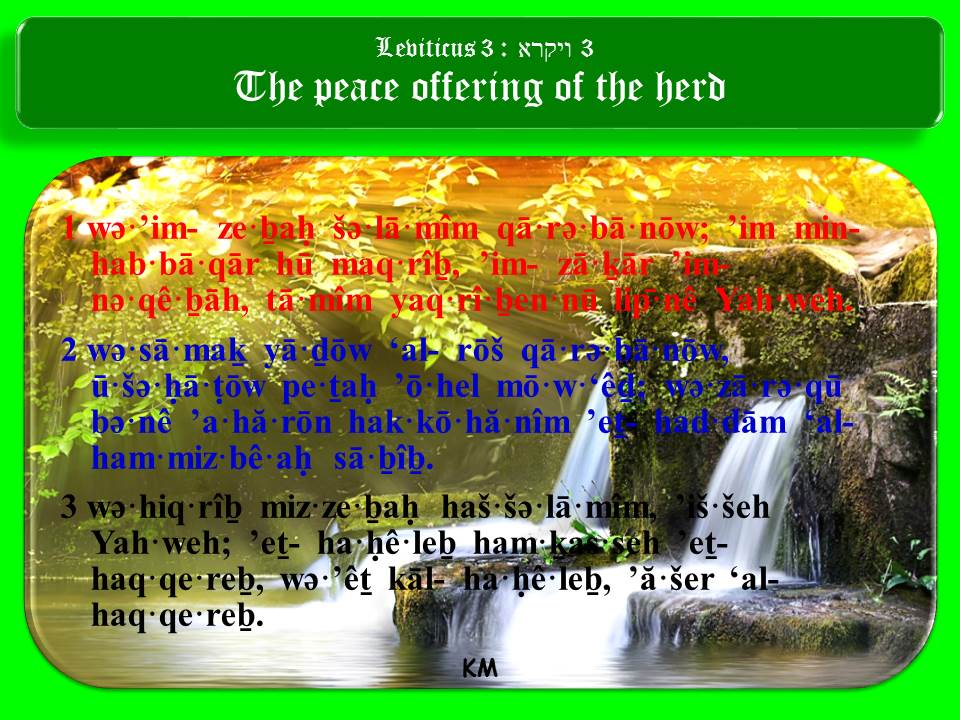 SENI MEMBENTUK GAMBAR: Leviticus 3 : ויקרא 3, The peace offering of the ...