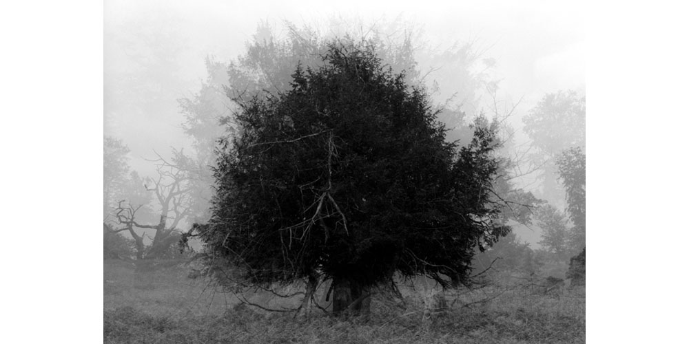 Artist Identity: Hannah Guy