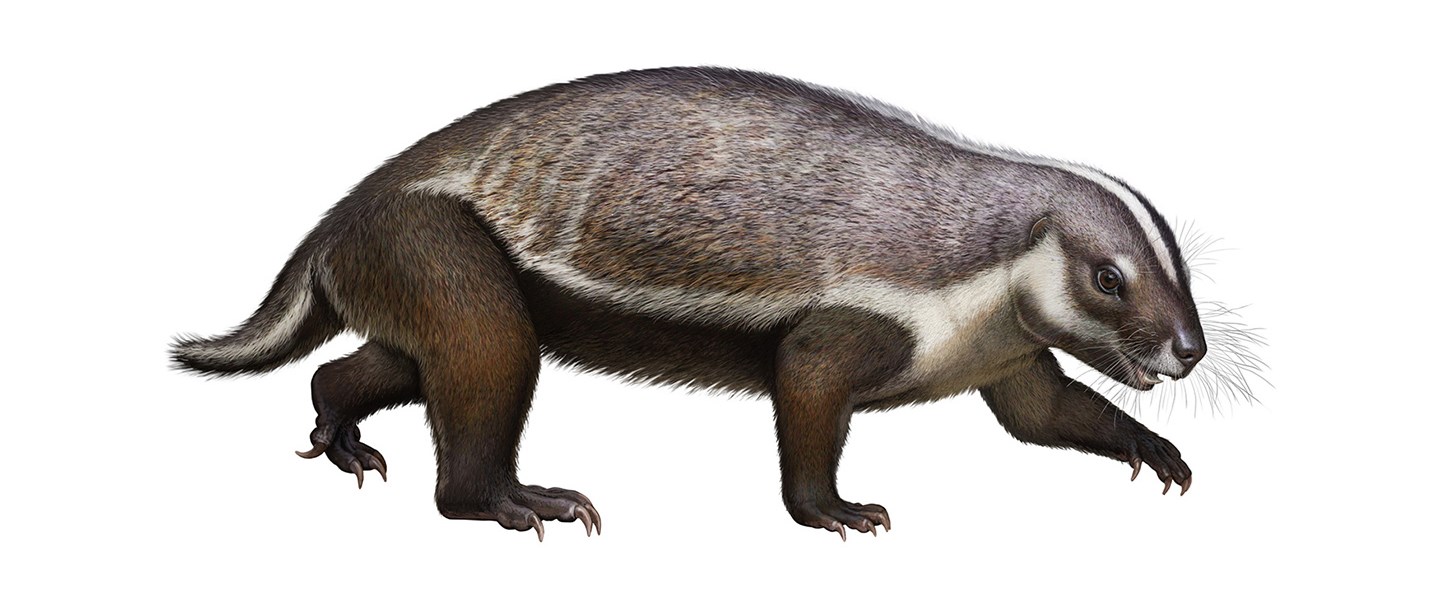 La Escalera de Iakob: El Adalatherium