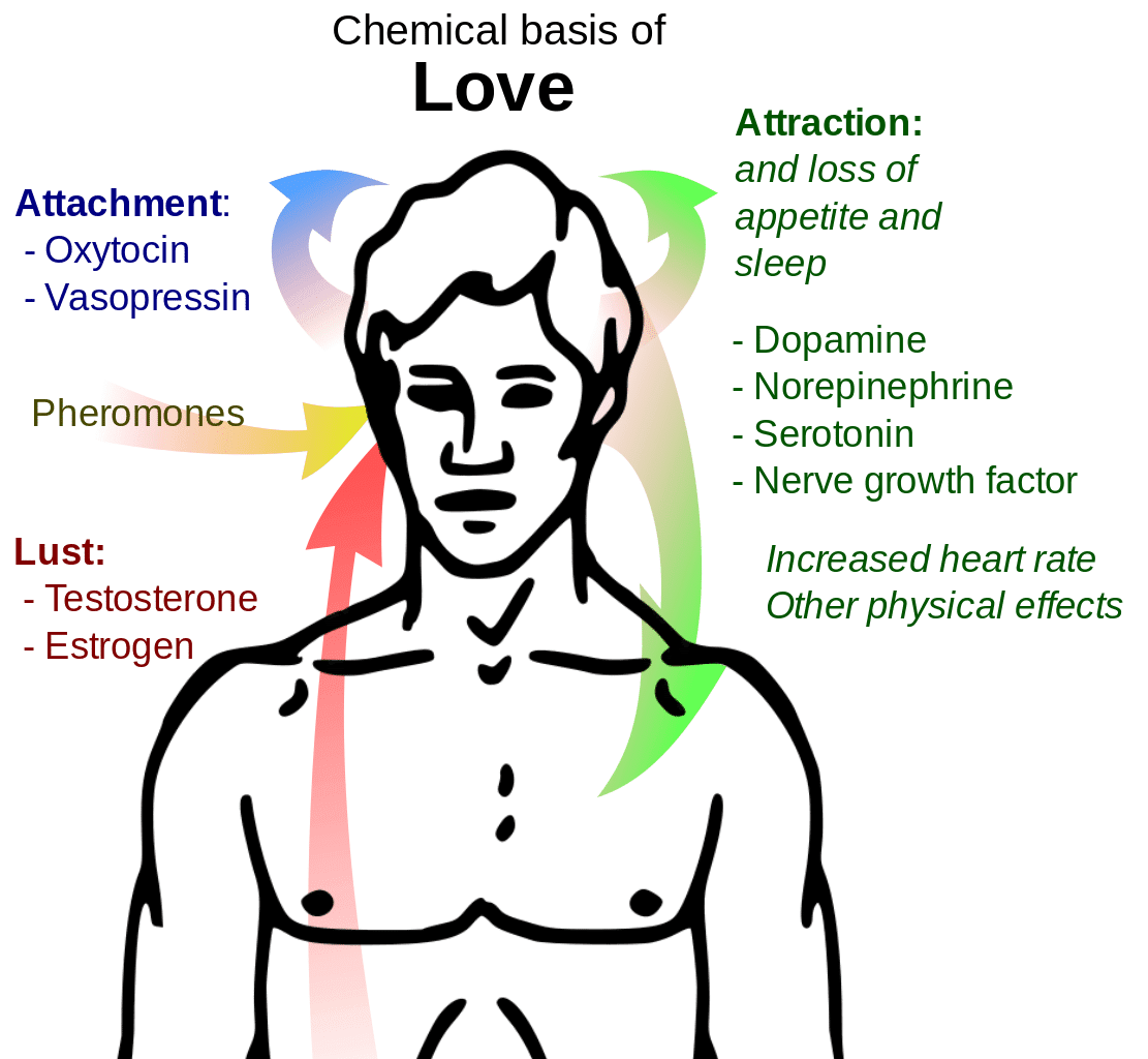 EXAMS AND ME : Semiochemicals