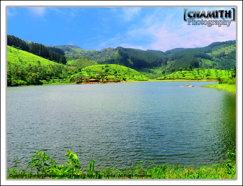 Chamith Chandrasekara - Photography: Sembuwaththa Lake - Matale