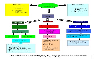 Blog de Ecomaica: UD 12 GLOBALIZACIÓN ECONÓMICA