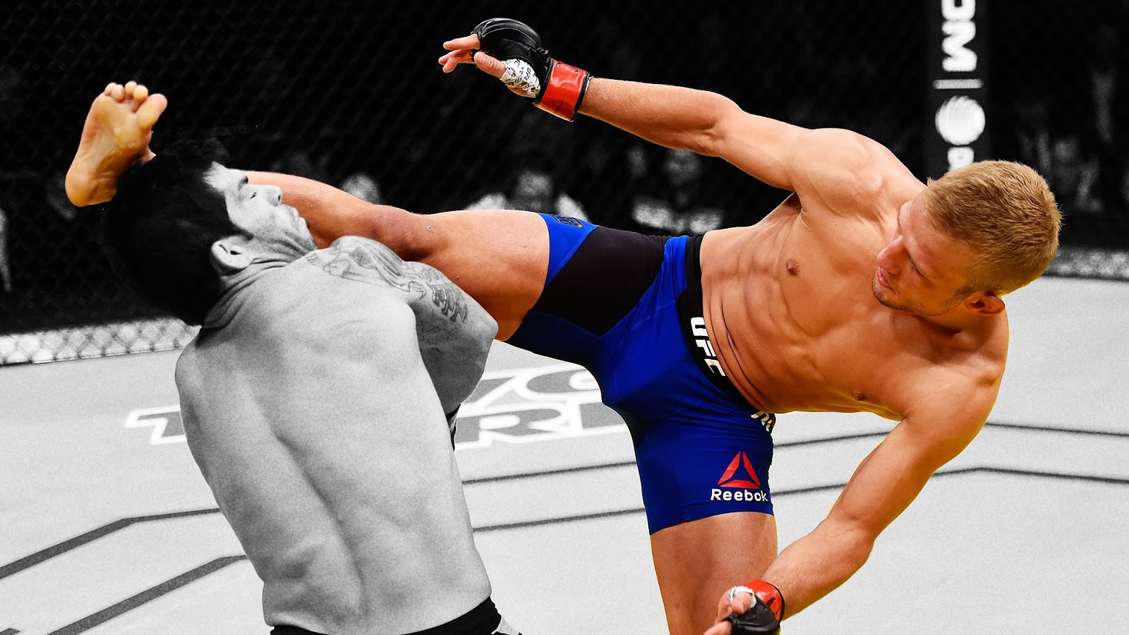 The Real-Life Diet of T. J. Dillashaw, UFC Champion and Future Ironman ...